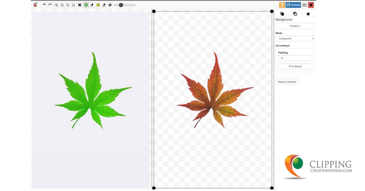 How Can I Remove The White Background From An Image | CCI